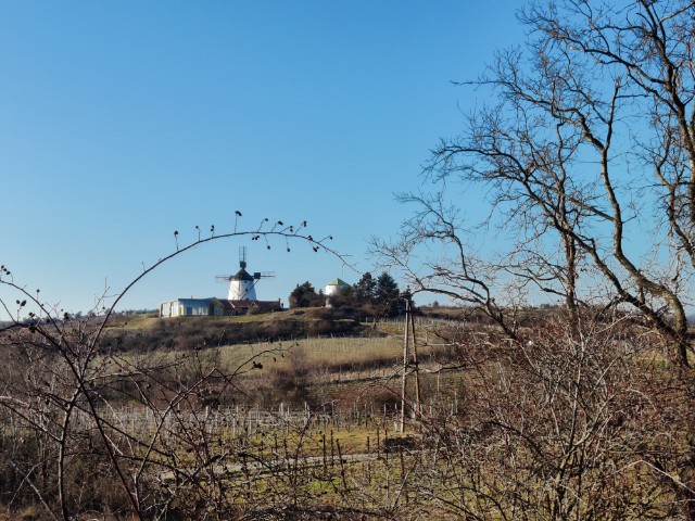 Unterwegs am Kellergassenrundwanderweg mit Ausgangspunkt Retz und über ...